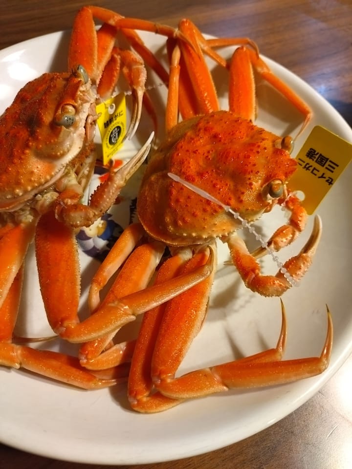 Limited To One Groups In One Day. - Awara