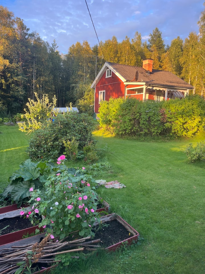 Stuga I Bergslagen - Norberg