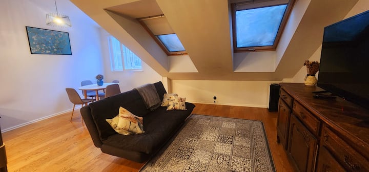 Wolterson Residence (Loft) - Tallinn