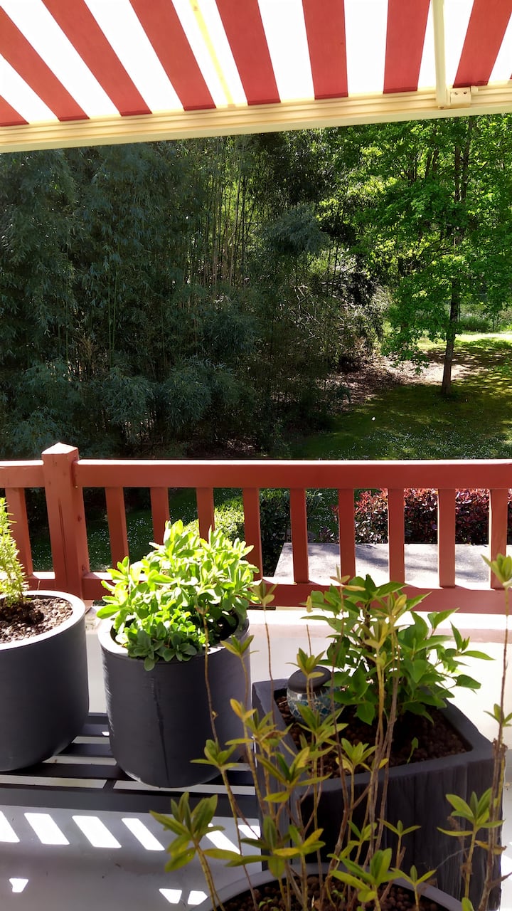 Au Secret De Cambo-3* T3 2 Cham- Piscine Terrasse - Itxassou