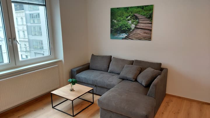 Appartement 5 Neu - Linz