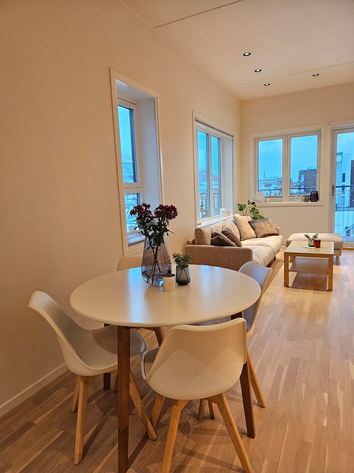 Ny Og Stor Sentrumsleilighet Med Utsikt - 特羅姆瑟