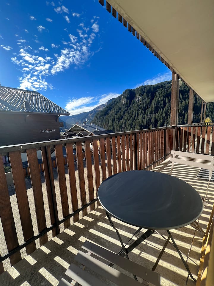 Bel Appartement, Proche Centre. - Châtel