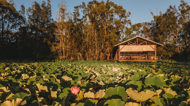 Luxe Overwater Rainforest Retreat - Lochinvar
