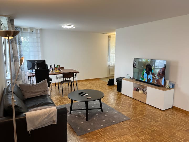 2.5 Room Apartment Zurich(55 M2) - Opfikon