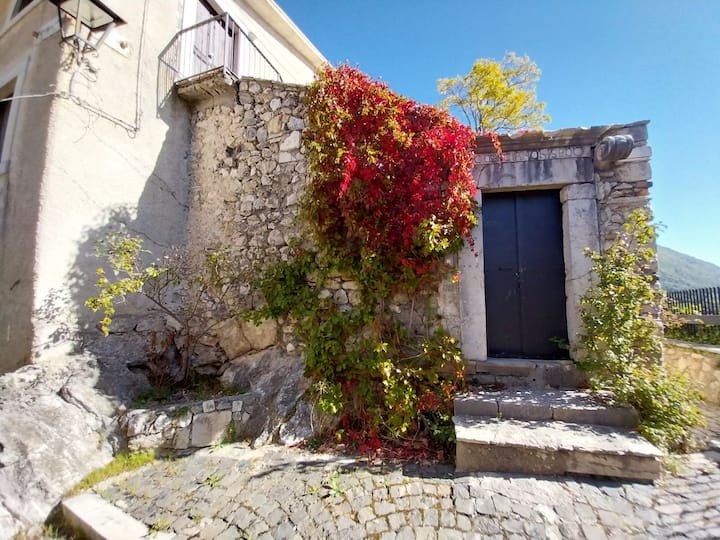 Affittacamere Ellera Verde - Civitella Alfedena