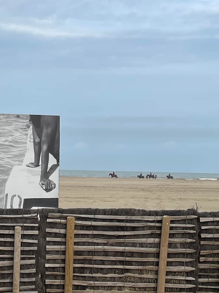 Place Morny-2 Pièces-jusqu’à 4 Couch - Deauville