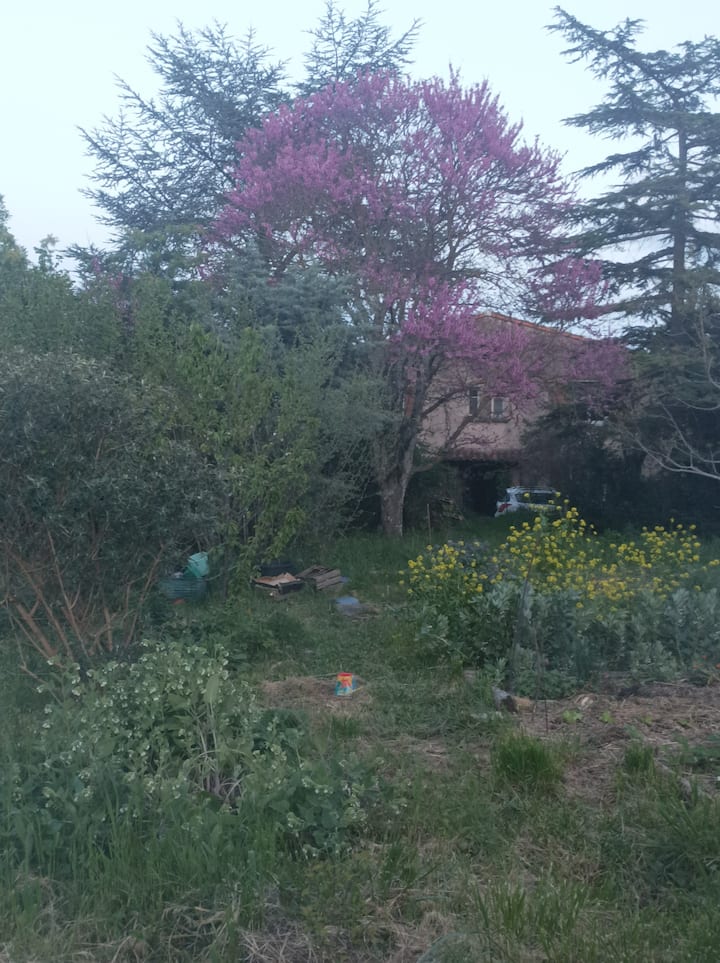 Maison De Village Avec Jardin - Limoux