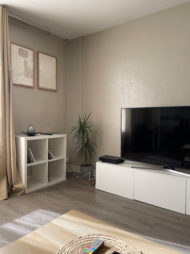 Magnifique Duplex-2 Chambres-3 Lits-free Parking - Grenoble