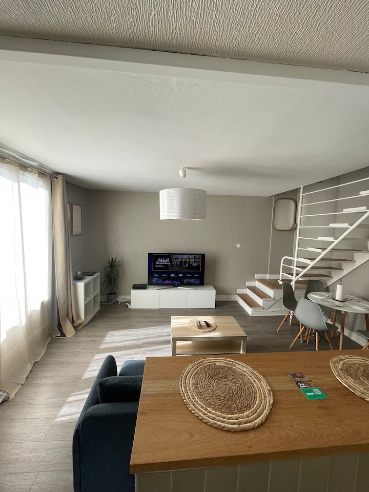 Magnifique Duplex-2 Chambres-3 Lits-free Parking - Grenoble
