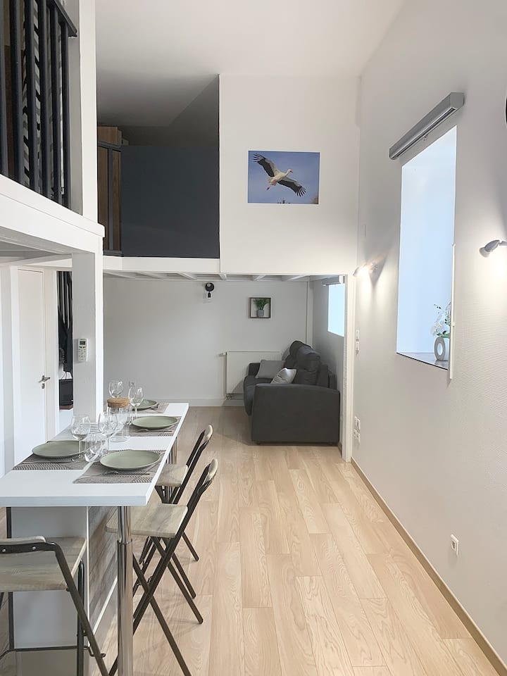 Appartement Proche Gare - Sélestat