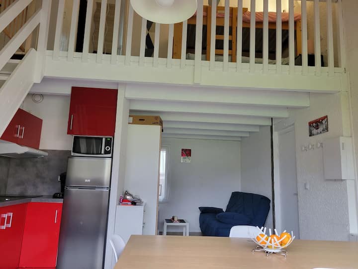 Appartement Duplex - Vielle-Aure