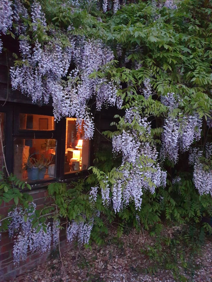 Cosy Corner - Lyndhurst, UK