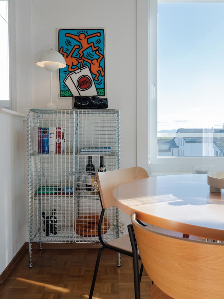 Duplex Et Place De Parc Privée - Lausanne