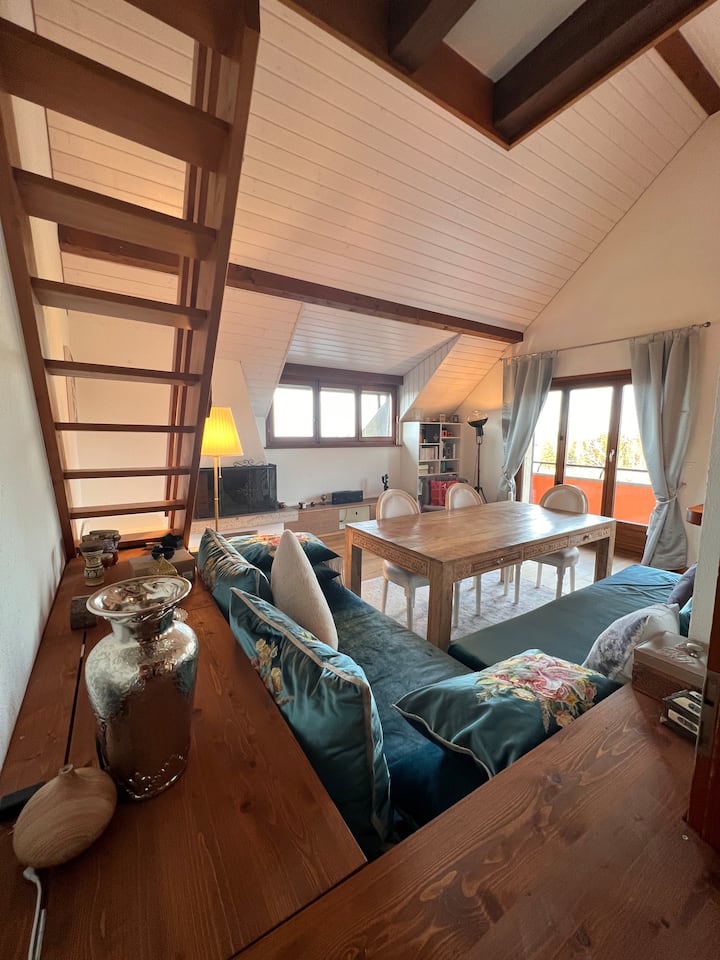 Jolie Chambre Proche De Lausanne - Lac Léman