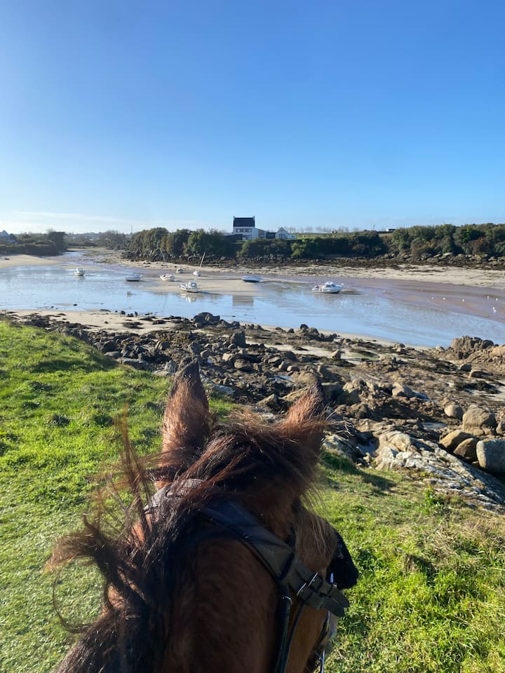 Gîte Entre Terre Et Mer - Cléder