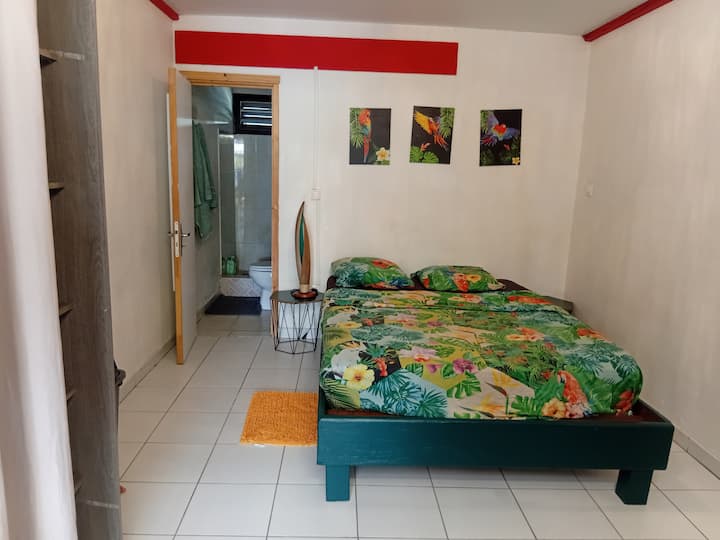 La Petite Fenêtre (T2 Climatisé) - Guayana Francesa