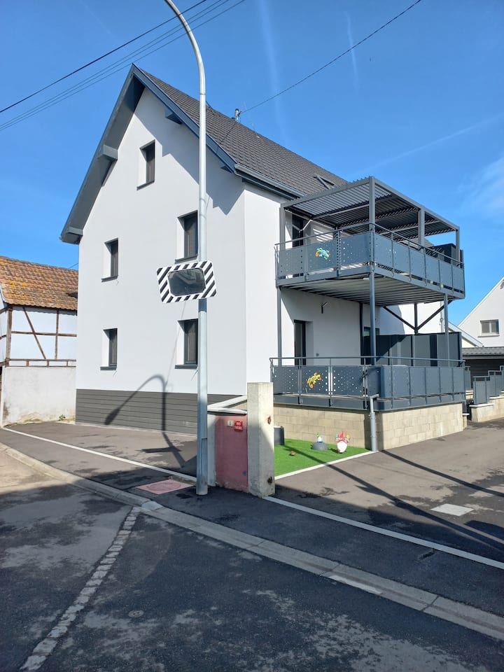 Gîte Familiale 15 Pers Centre Alsace - Alsace