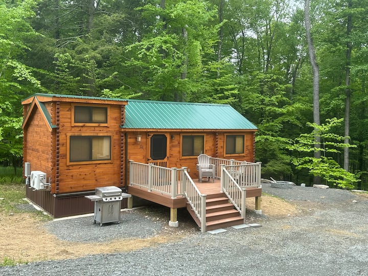 Lake Carey Cabin - Walk To Old Carter Barn - Lake Winola, PA