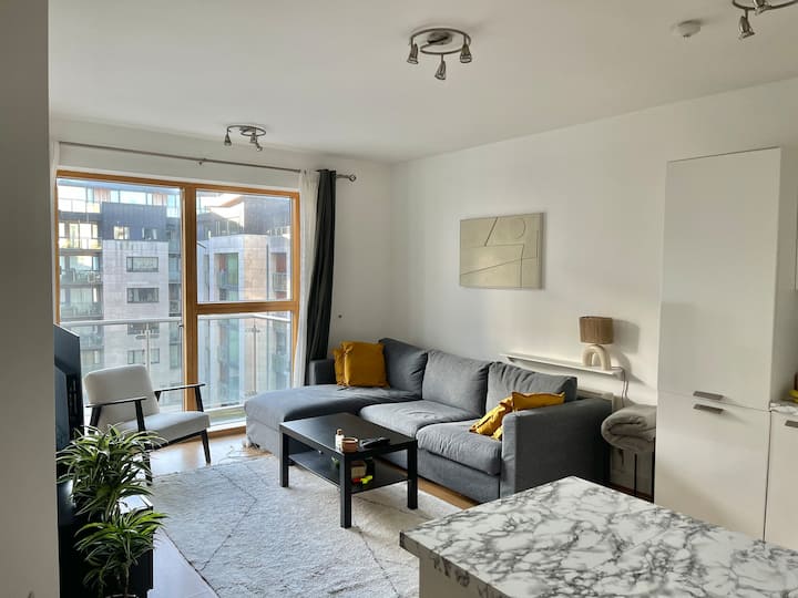 Cozy Apartment In Central Dublin - Dublin