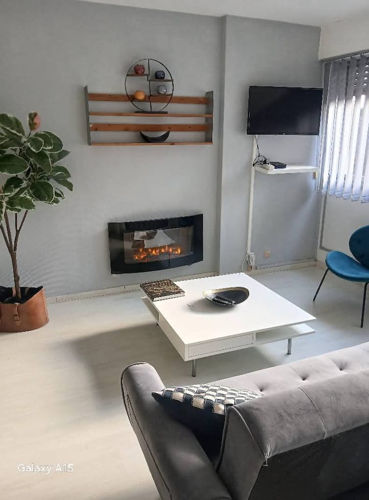 Jolie Appartement Plein Centre - Mulhouse