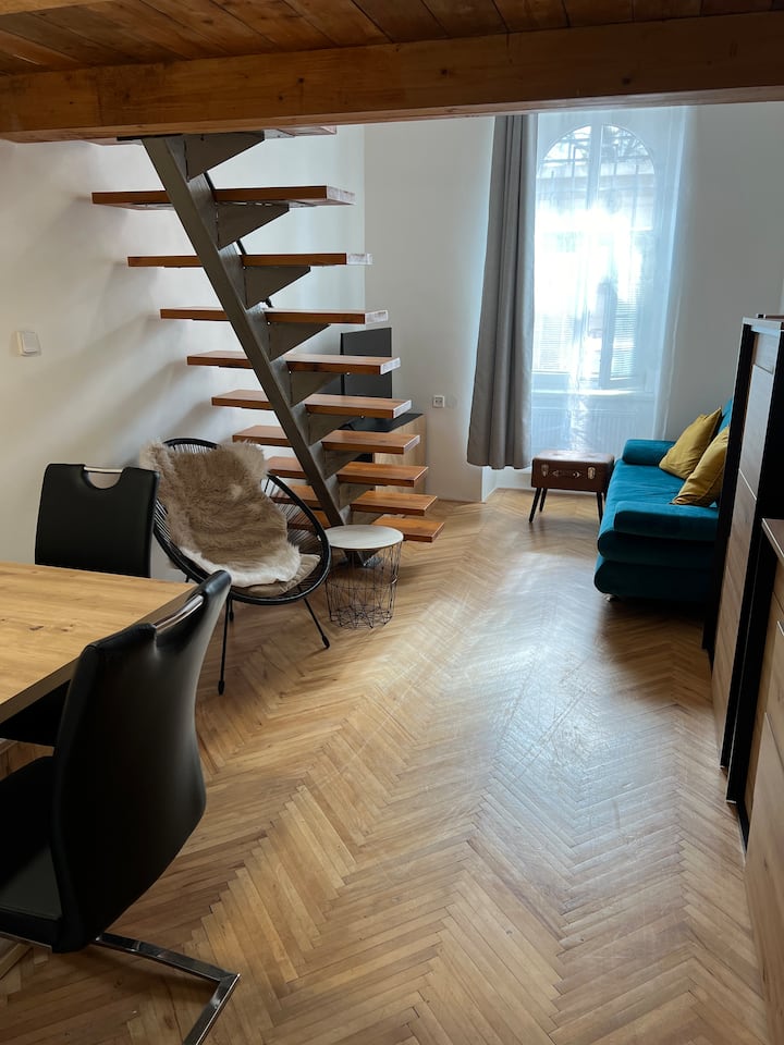 1-zimmer Apartment Mit Parkplatz - Brno