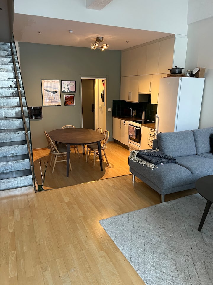 Spacious And Central Apartment - Oslo