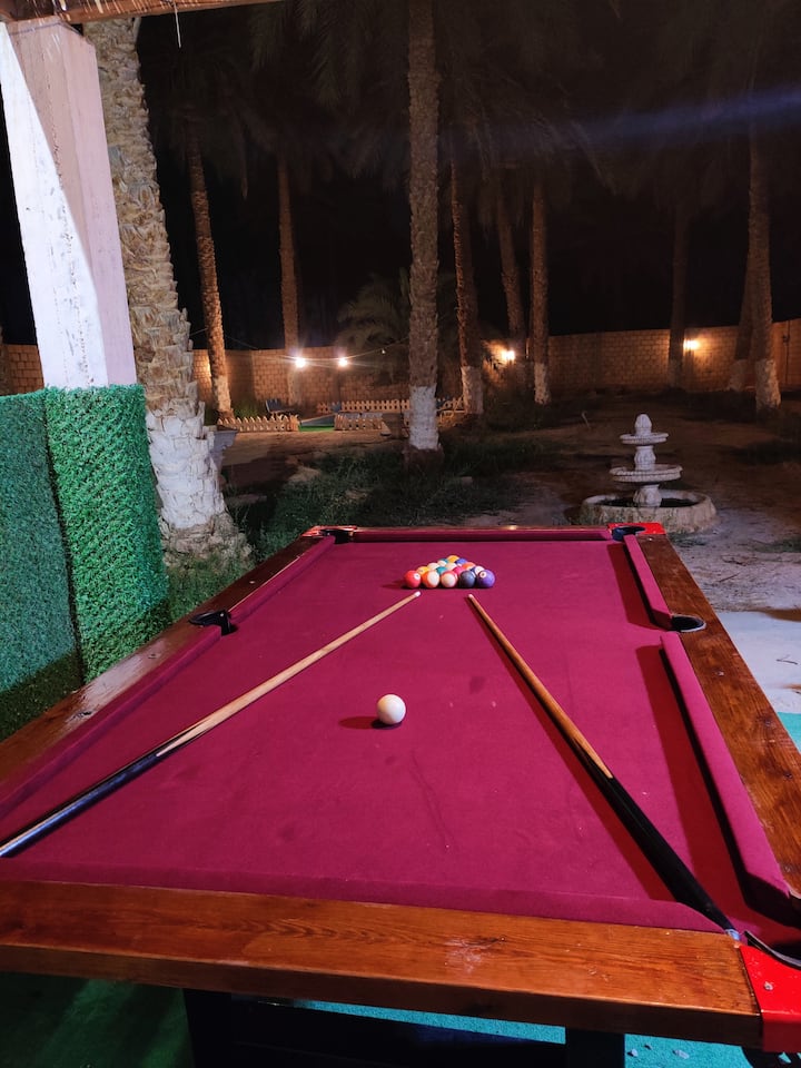 Maison Chaleureuse Au Milieu Des Palmiers Tolga - Algerien