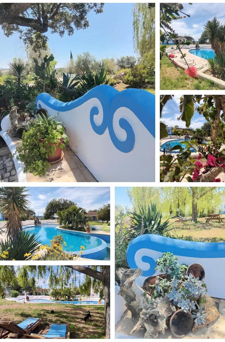 Monte Dos Mares
Alentejo Calmo - Orada