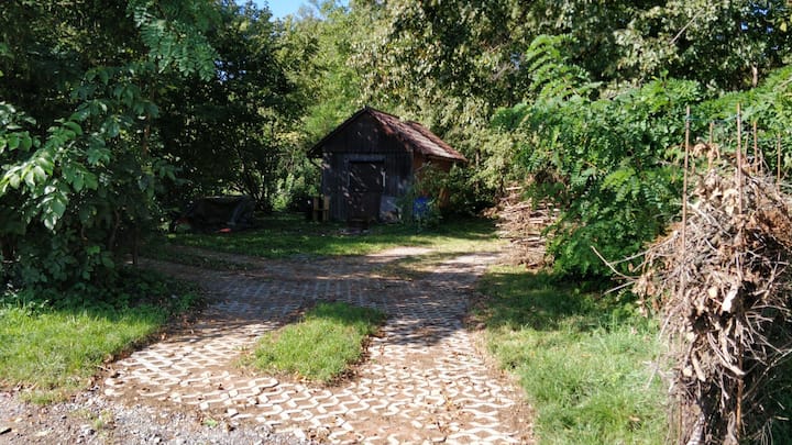 Garten Für Feiern/partys
Oder Zelten - Bietigheim-Bissingen