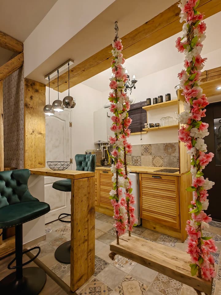 One Studio In A Vila   With Hot Tub And Barbecue - Brașov
