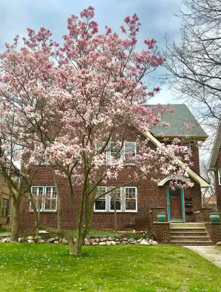 Spring In Bloom! Bright & Modern Lakewood - Cleveland