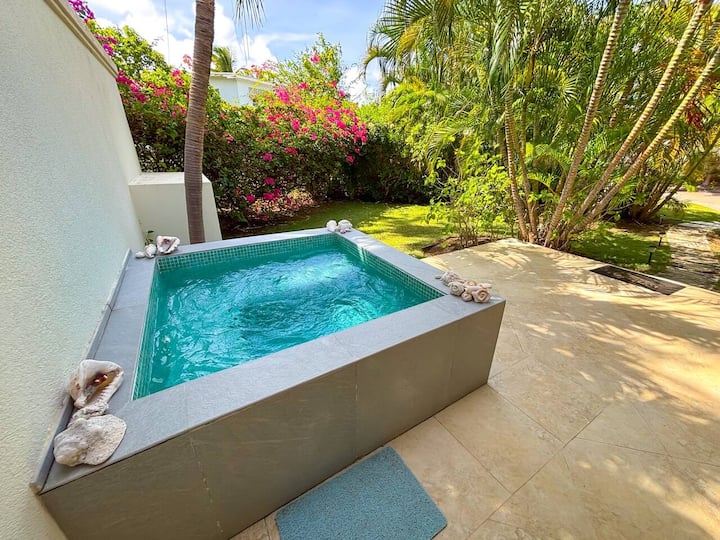 Gated 3 Br Townhouse W Plunge Pool & Walk To Beach - Barbados