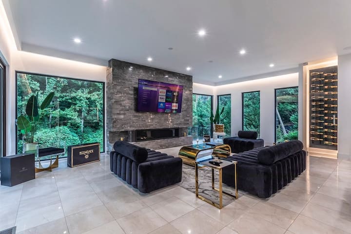 Millionaire Modern Mansion - Atlanta, GA