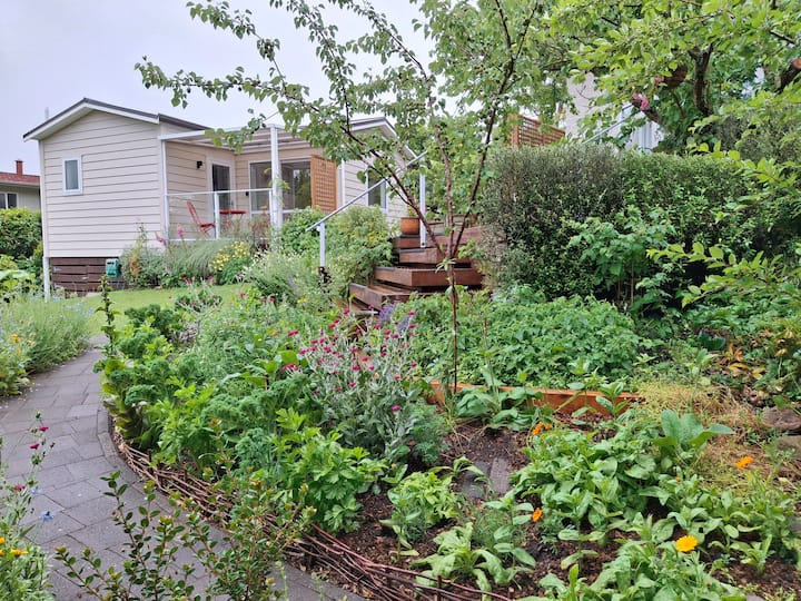 Fig Cottage - Havelock North