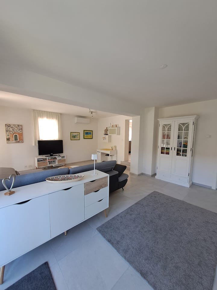 Appartamento Ristrutturato Con Piscina - Lugano