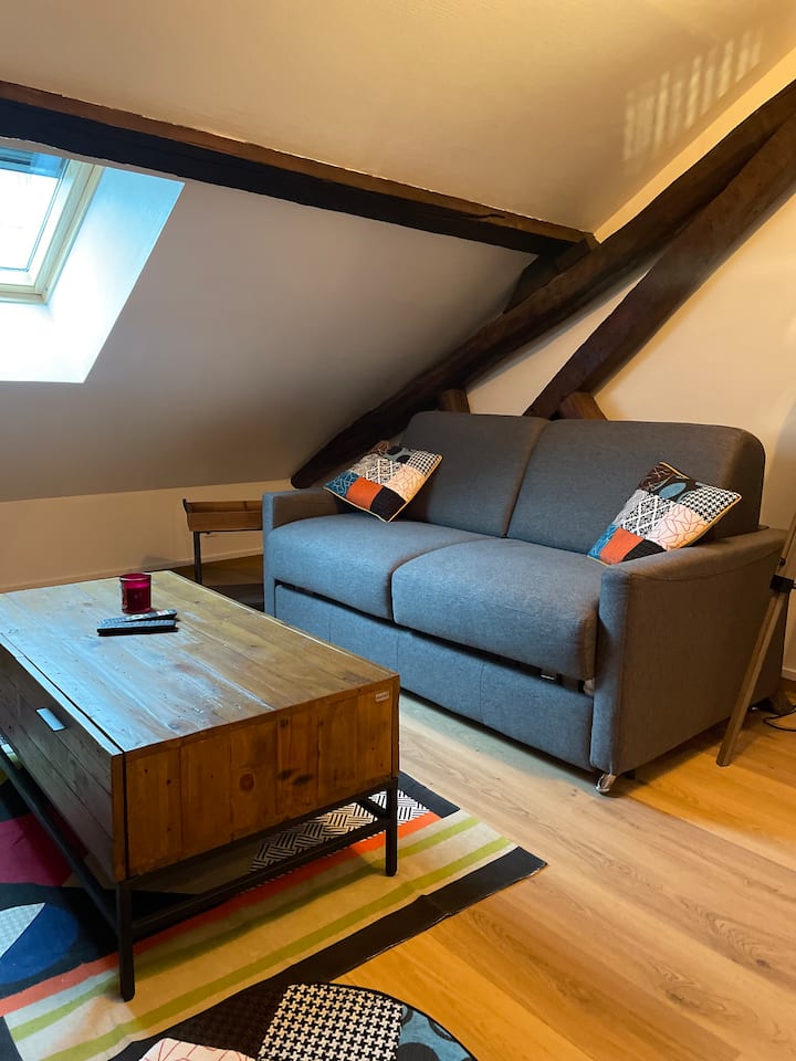 Appartement Central Pour 4 Personnes + Garage - Bourges