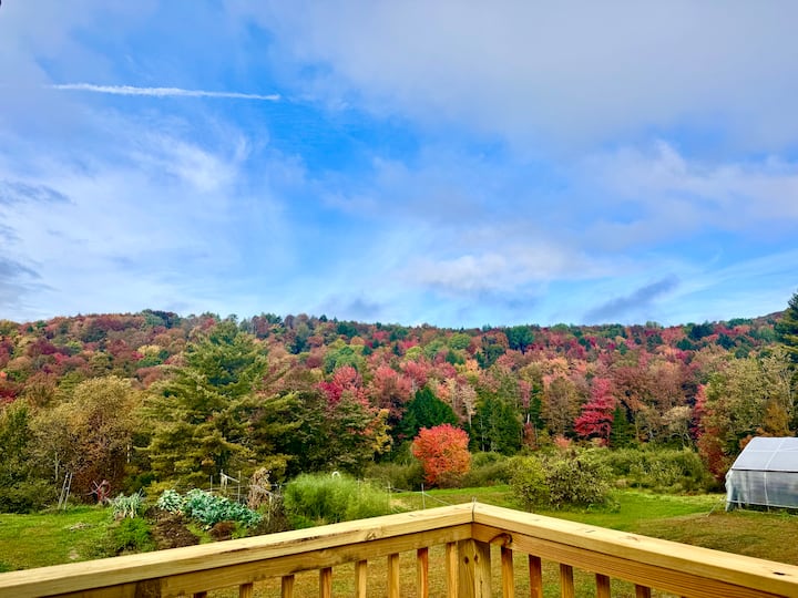 Treetop Retreat - Montpelier, VT