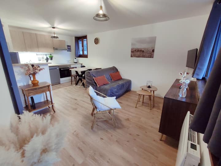 Appartement Charmant Et Cosy - Chambon-sur-Lac