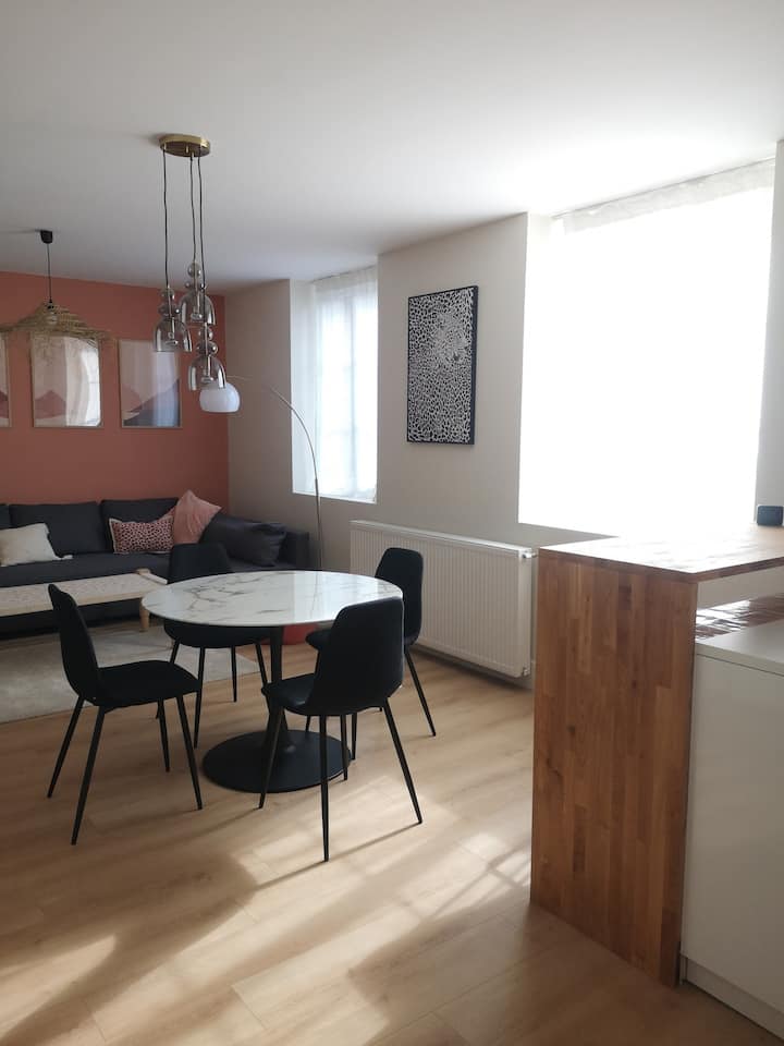 T3 La Madeleine Proche Lille Et Gares Wifi 300 Mb - Gare de Lille Europe - Euralille