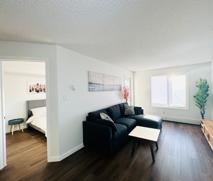 Good Location 2 Bedroom 2 Full Bathroom Condo - Edmonton