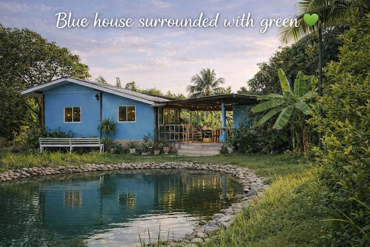Bhan Fha Rung : Blue House Surrounds Wt Green - Lampang