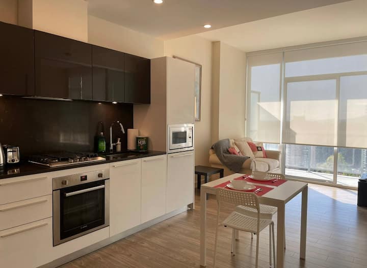 Deluxe Suite 1b+1bath Skytrain Metrotown - Burnaby