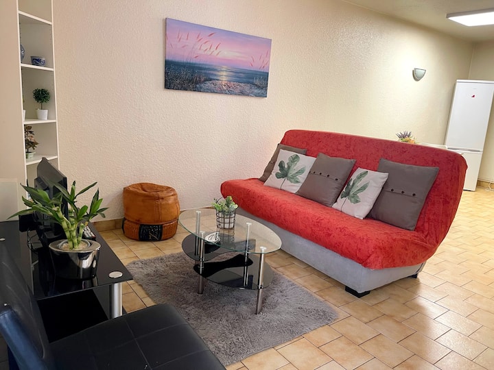 Joli Appt T2 Centre Historique Agde Proche Plages - Grau d'Agde