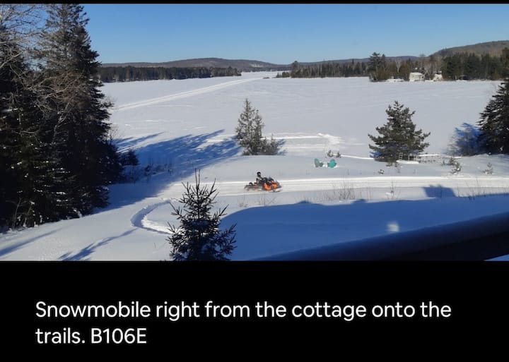 The Laughing Moose Lodge Too. Hot Tub. Sauna. - Ontario 60