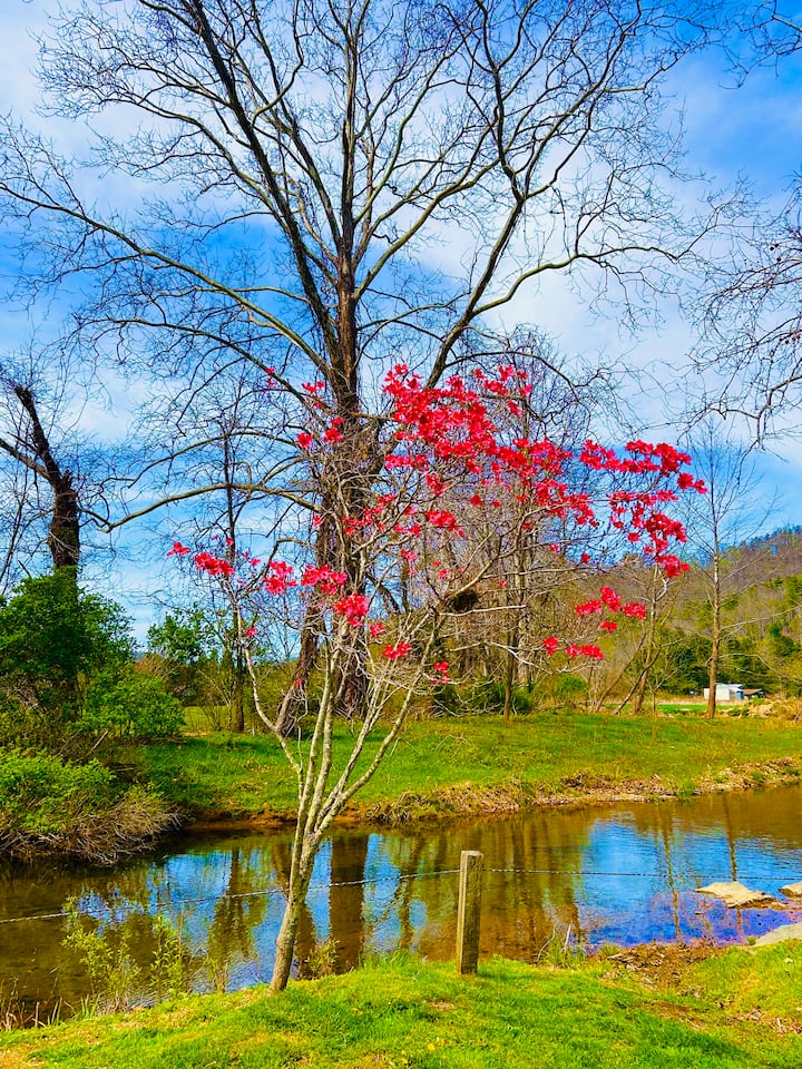 Peaceful Spring Retreat* Sugar Shack - Sugar Mountain, NC