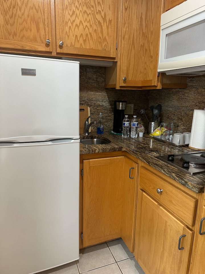 South Loop Studio Hotel (305) - Chicago, IL