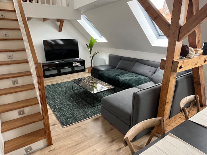 Spacieux Logement, 2p Metz - Metz