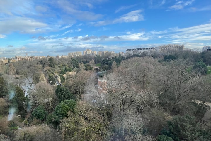 Great Hausmannian Penthouse - Paris