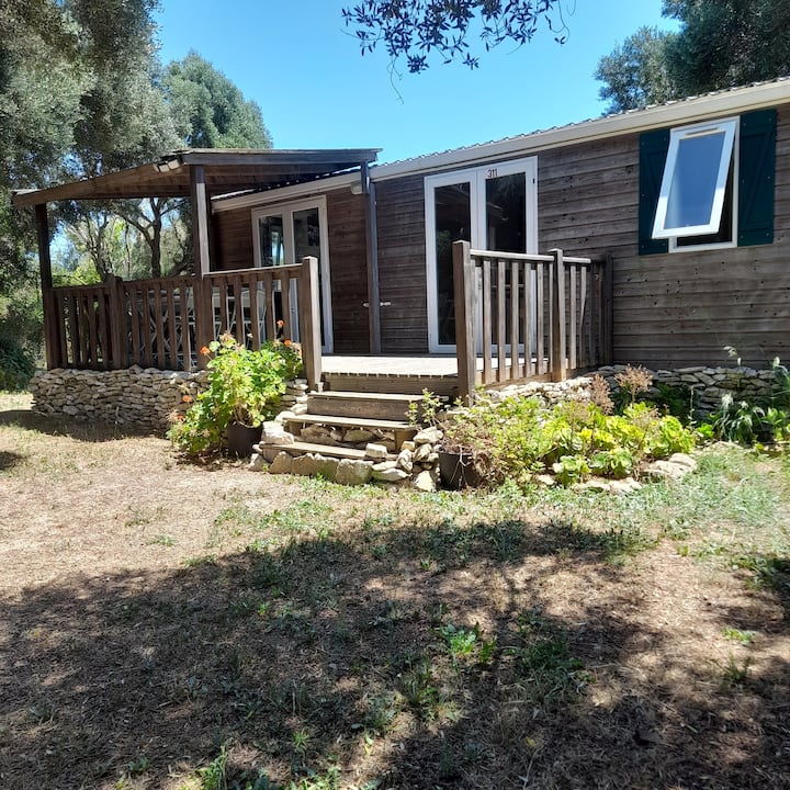 Vacances Entre Maquis Et Plage
News - Les îles Lavezzi